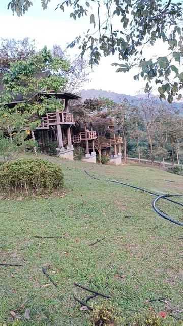 Отель Cliff & River Jungle Resort, Као Сок, Тай (Hotel Cliff & River Jungle Resort, Kao Sok, Thai)
