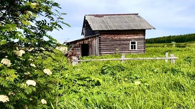 Восстанавливаем заброшенную избу у таежной речки. Наловил монстров. История дома. Часть 1.