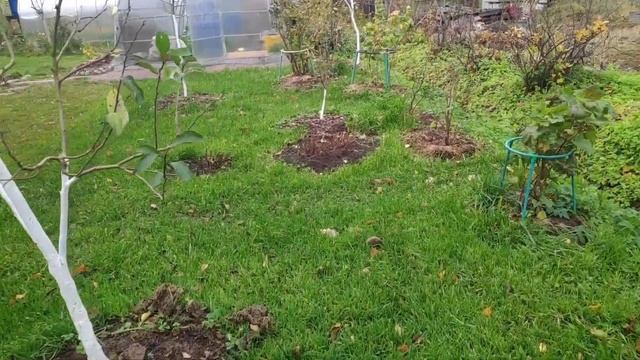 72- моя Дача мой Огород(16.10-17.10.21)