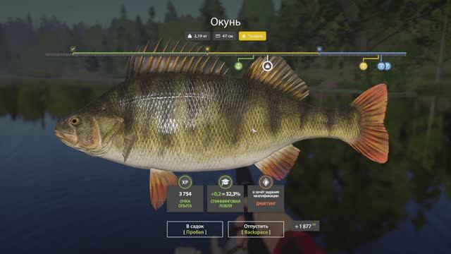 Русская рыбалка 4 Новогодние задания 2026