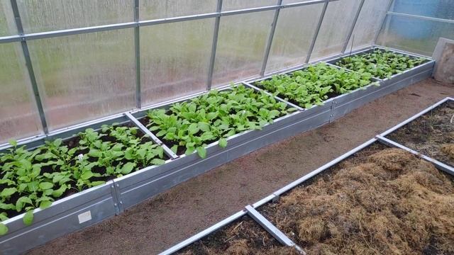 77-Дача. готовимся к зиме..1 часть(20.11.21)