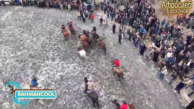 Афросиёб 200 доллар