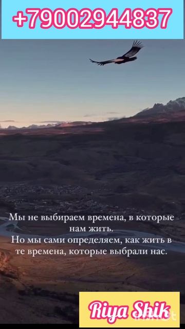 Наш выбор на все времена.