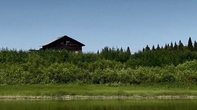Одни в тайге. Кто-то был в избе. Ловим окуней. Ремонт избы. Часть 1.
