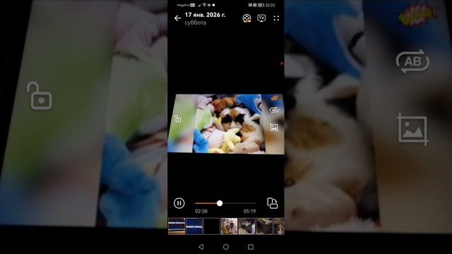 РЕАКЦИЯ НА РЖАЧНЫЕ ВИДИО!