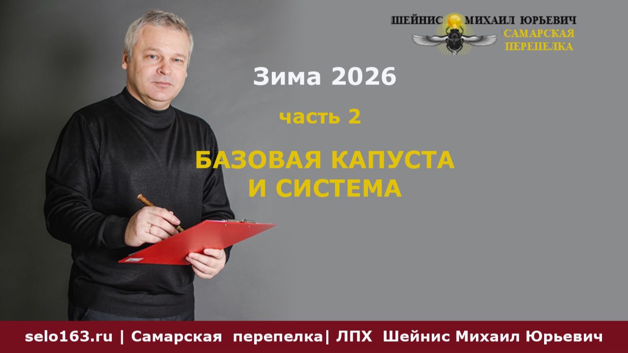 Зима 2026. Часть 2 — базовая капуста и система