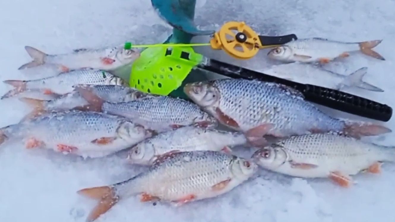 Безмотылка и подводная камера Язь 52 компакт 9.