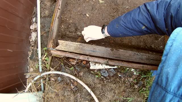 Самый не обычный способ посадки моркови! Смотри пока не поздно!