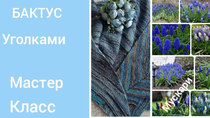 17-01-2026 БАКТУС УГОЛКАМИ СПИЦАМИ МАСТЕР КЛАСС