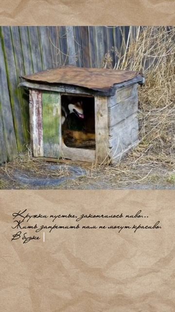 Стишок "Жить запретить нам не могут красиво" - Ю. Г. Кононенко