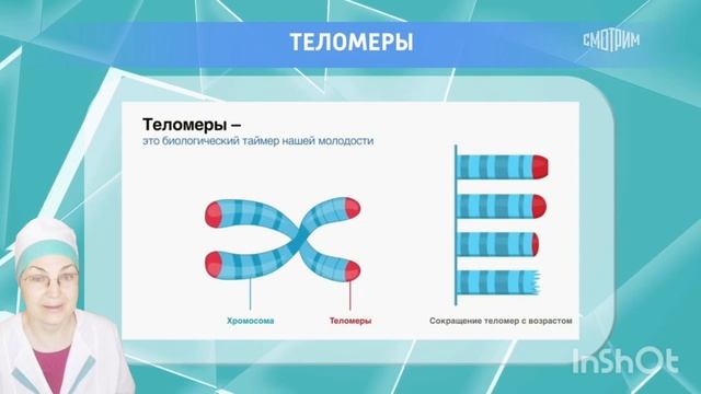 Мозг усыхает при ожирении.