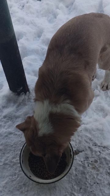 Утро 16 января 2026 г.