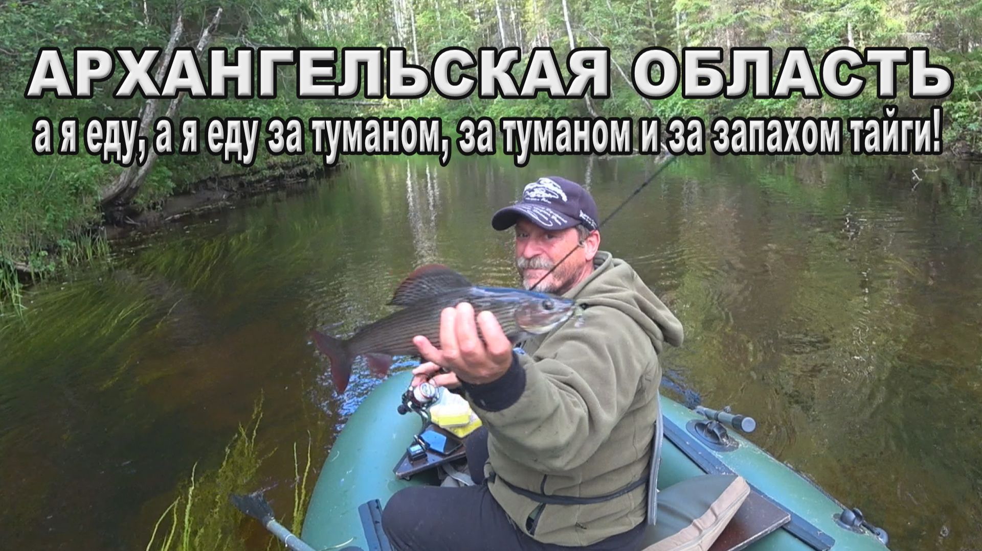 Архангельская область. А я еду, а я еду, за туманом, за туманом и за запахом тайги!