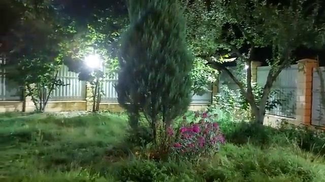 РОДОВАЯ КНИГА МЕРТВЫХ...спасение для многих