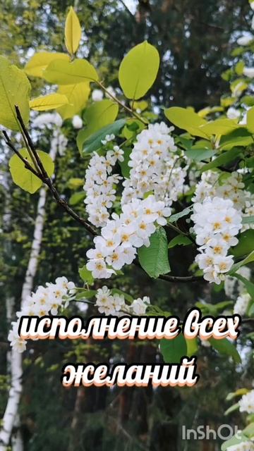 Что сеял весной...