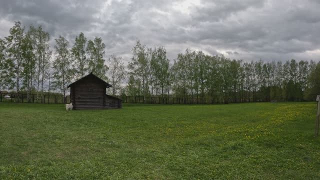 Суздаль. Музей деревянного зодчества!