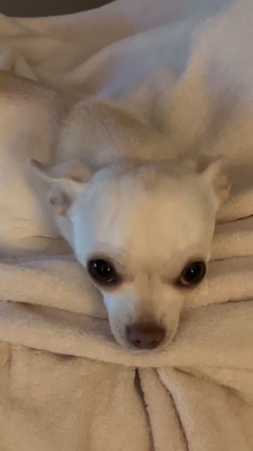 Усыновленная