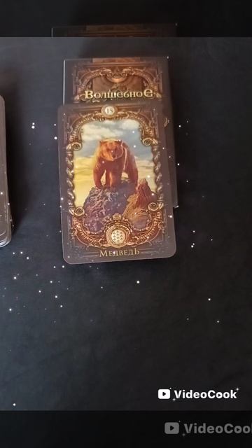 Карта дня. День силы!