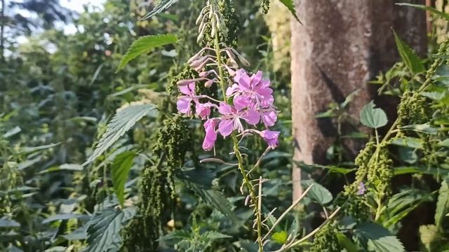 У всех свои дела, свои заботы…