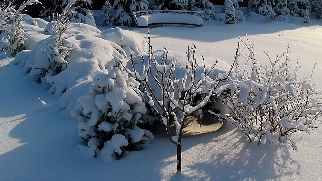 МОРОЗ И СОЛНЦЕ ; ДЕНЬ ЧУДЕСНЫЙ ! 17.01.2026г.