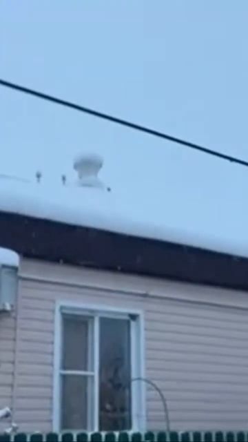 Звенит январская вьюга