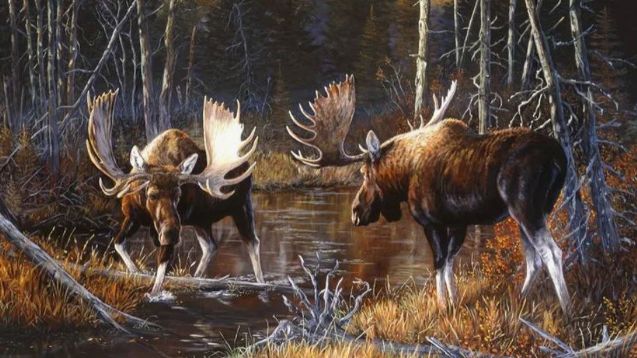 theHunter Classic-добыть лося