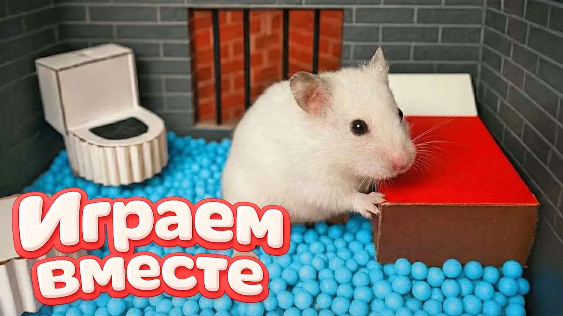 НОВЫЙ ОПАСНЫЙ ЛАБИРИНТ ДЛЯ ХРАБРОГО И УМНОГО ХОМЯКА 🐹 ВИДЕО ДЛЯ ДЕТЕЙ ! ЧАСТЬ 8