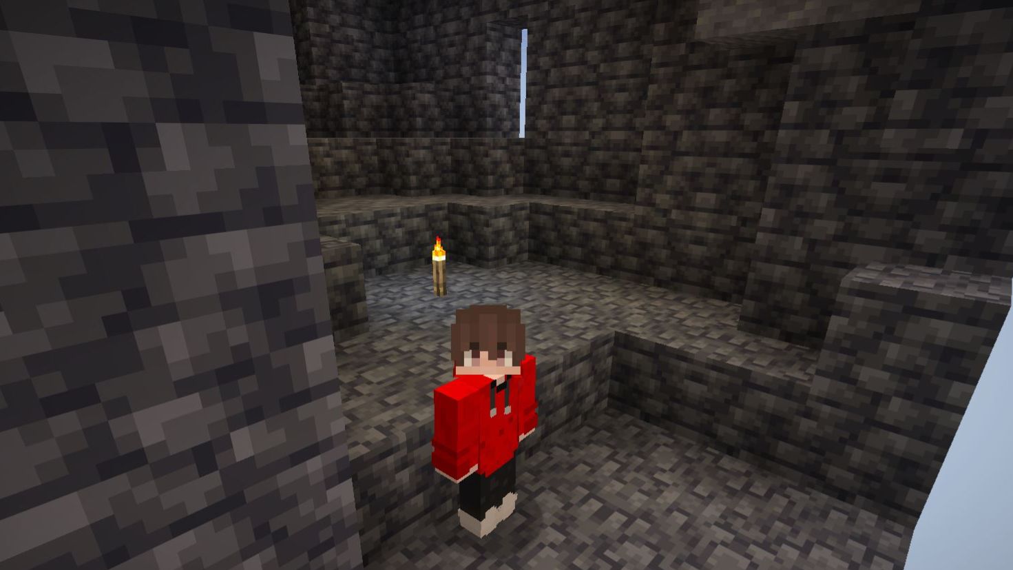 майнкрафт но на одном чанке 2 с другом