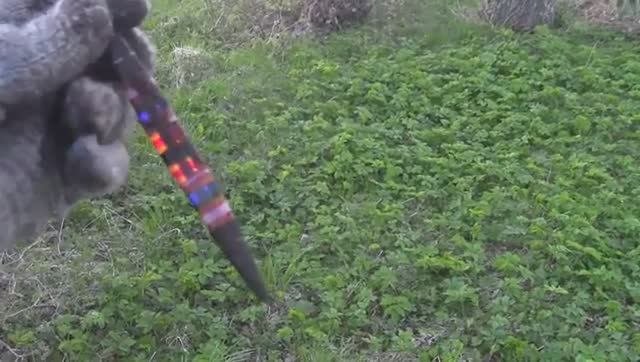 НАХОДКИ ПРИБОРОМ МИНЕЛАБ 705 ВО ДВОРЕ ДОМА.ЗЕКОВСКАЯ РУЧКА,ГИЛЬЗА