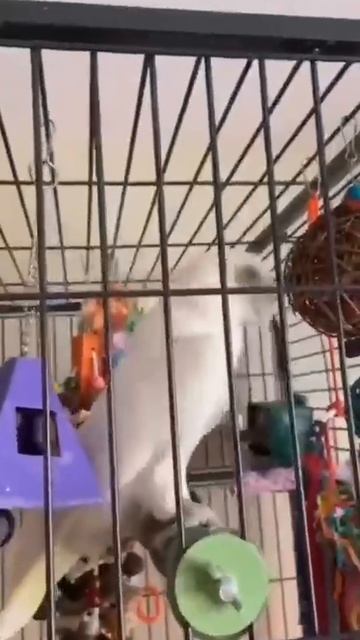 Го в клуб?💃