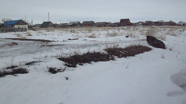 Деревенская жизнь видео