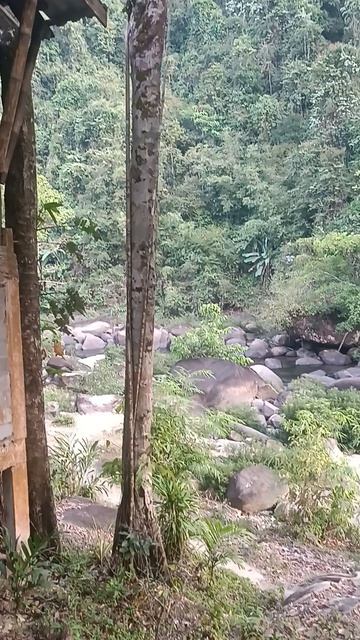 Туристическая стоянка в Национальном парке Као Сок, Тай (Rest Place for Tourists in Kao Sok, Thai)