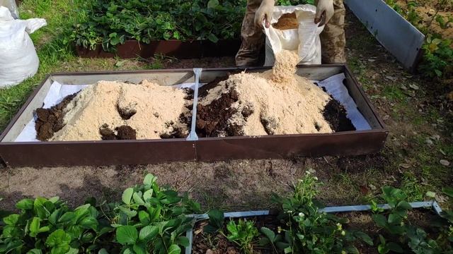 54-моя ДАЧА мой ОГОРОД ,новая грядка для клубники3 часть. (14.08.-15.08.21.)