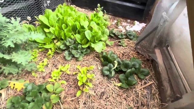 Зимний парничок или мини валипини.