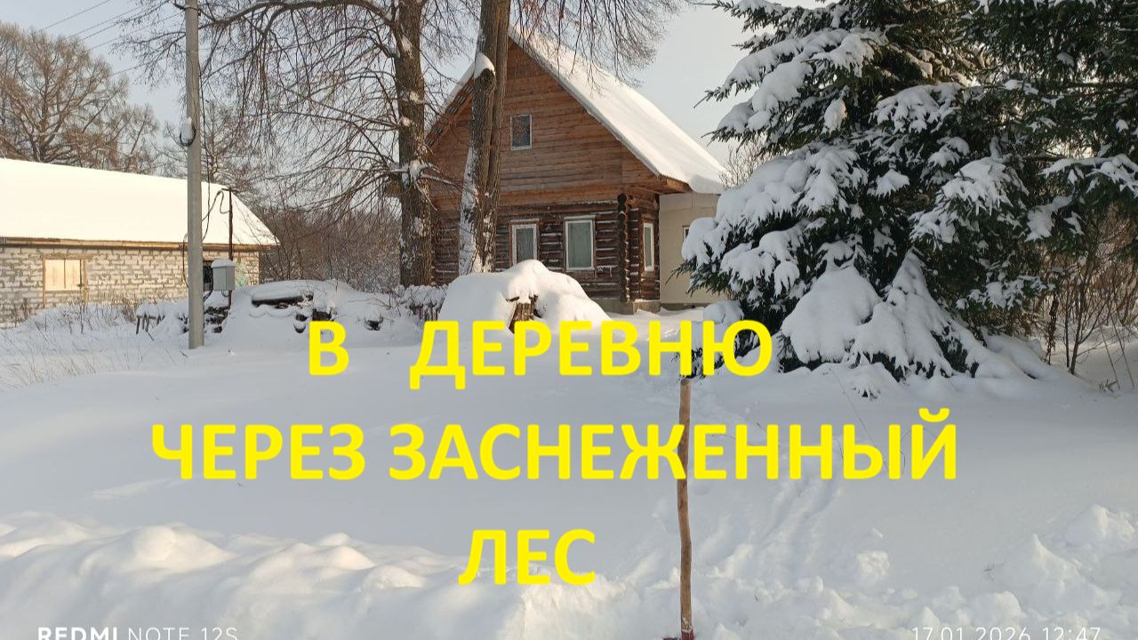 В деревню через заснеженный лес, пробираемся к дому.