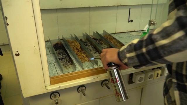 Огневые испытания огнетушащей жидкости "Хвоя" против лесных пожаров