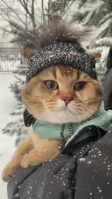 Одевайся по погоде!