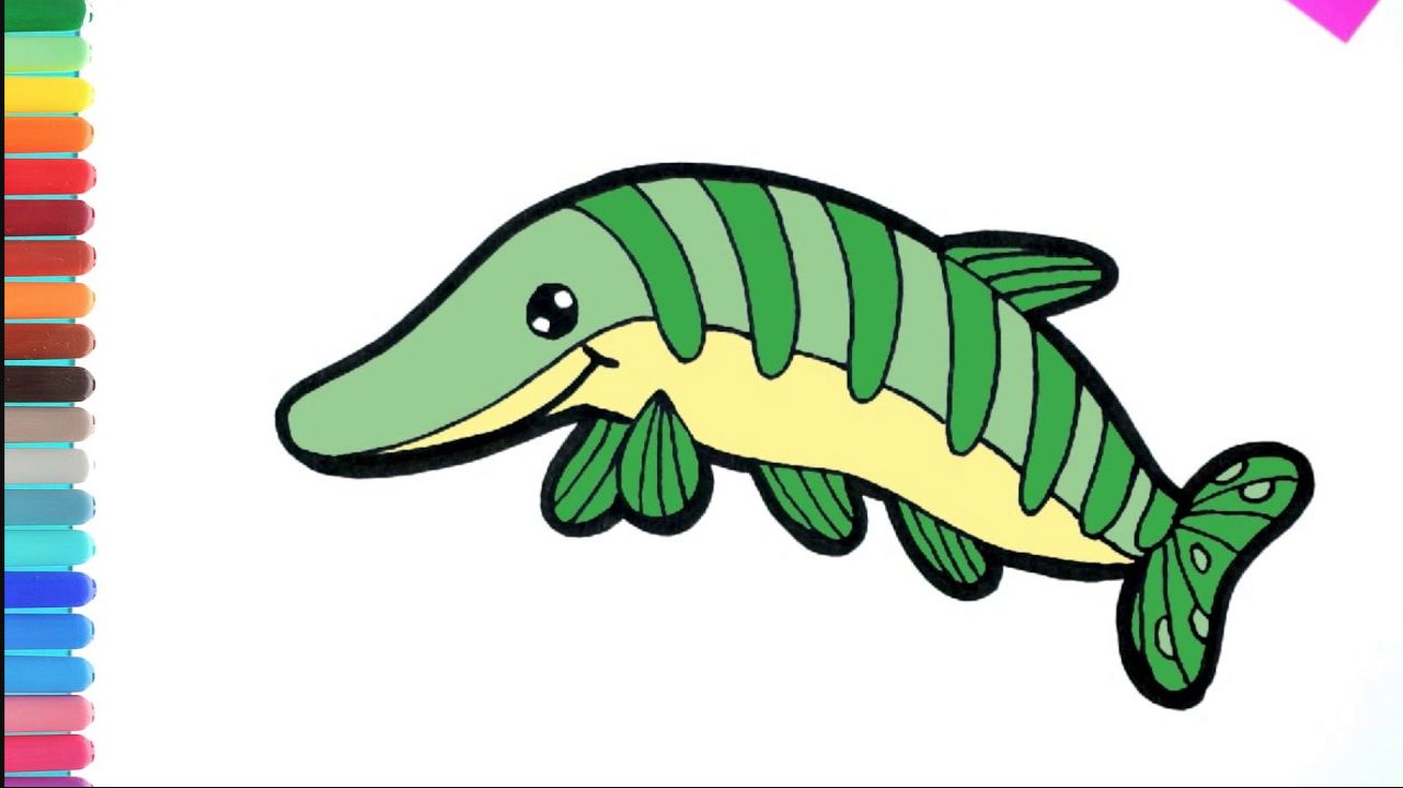 Мультик - раскраска для детей ЩУКА. Учимся как рисовать ЩУКУ вместе.