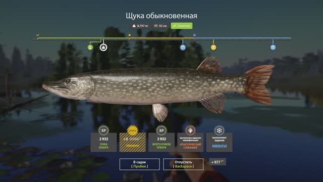 Русская рыбалка 4 Новогодние задания 2026