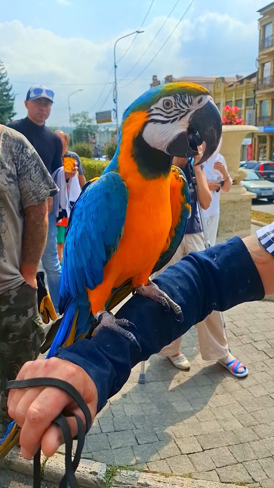 Пятигорск снимают кино 04-09-2025