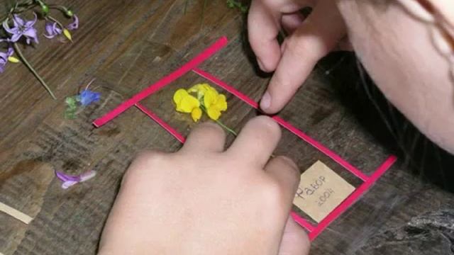 Лето Господне благоприятное