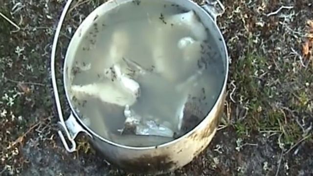 ПОБЕГ (Комаров и Валиулин)