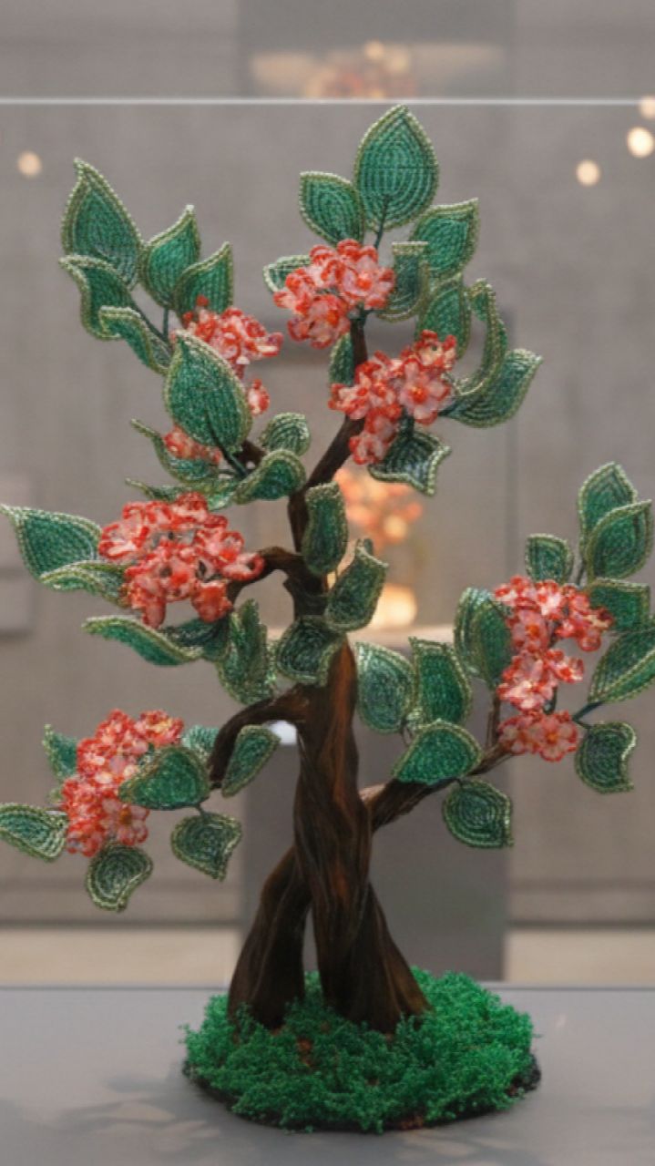 Дерево Страстное танго