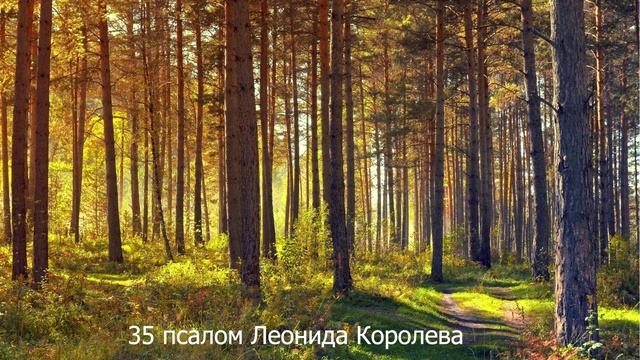 Молитва о познании Бога через любовь, а не разум / 35 псалом Леонида Королева