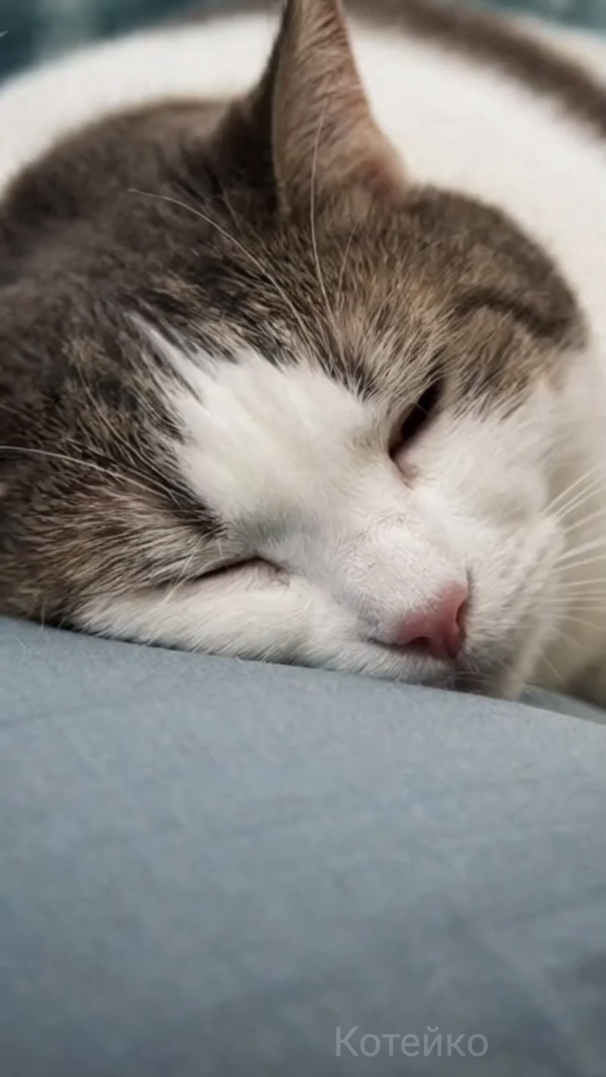 Есть или спать?