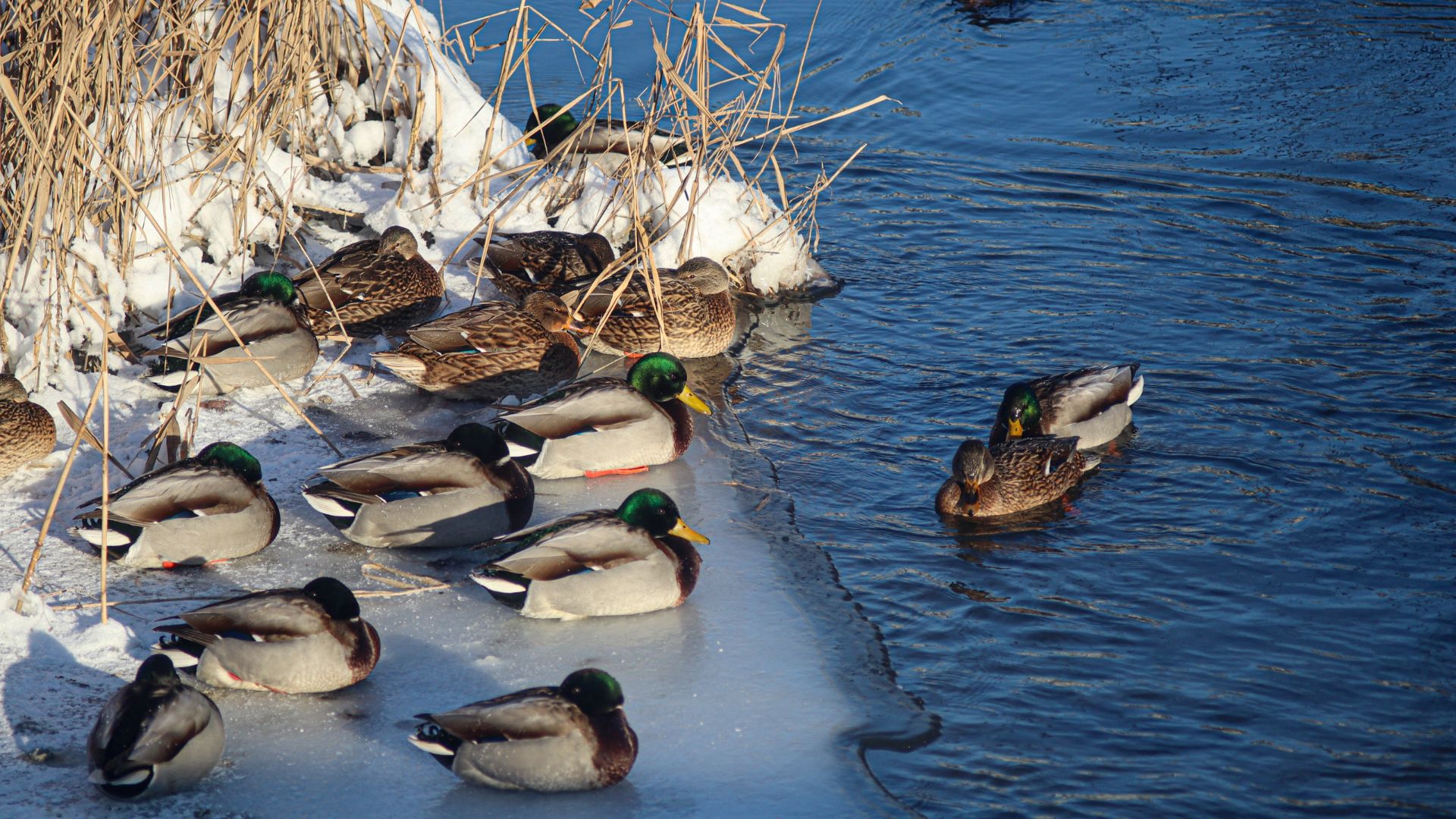 Утренняя прогулка по белгородскому Левобережью