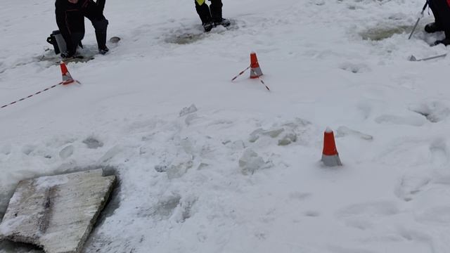 Светлые Горы Форель 17.01. 2026г.