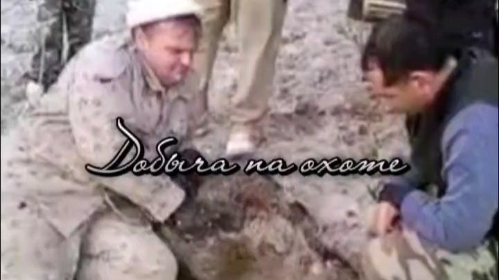 Охота на кабана