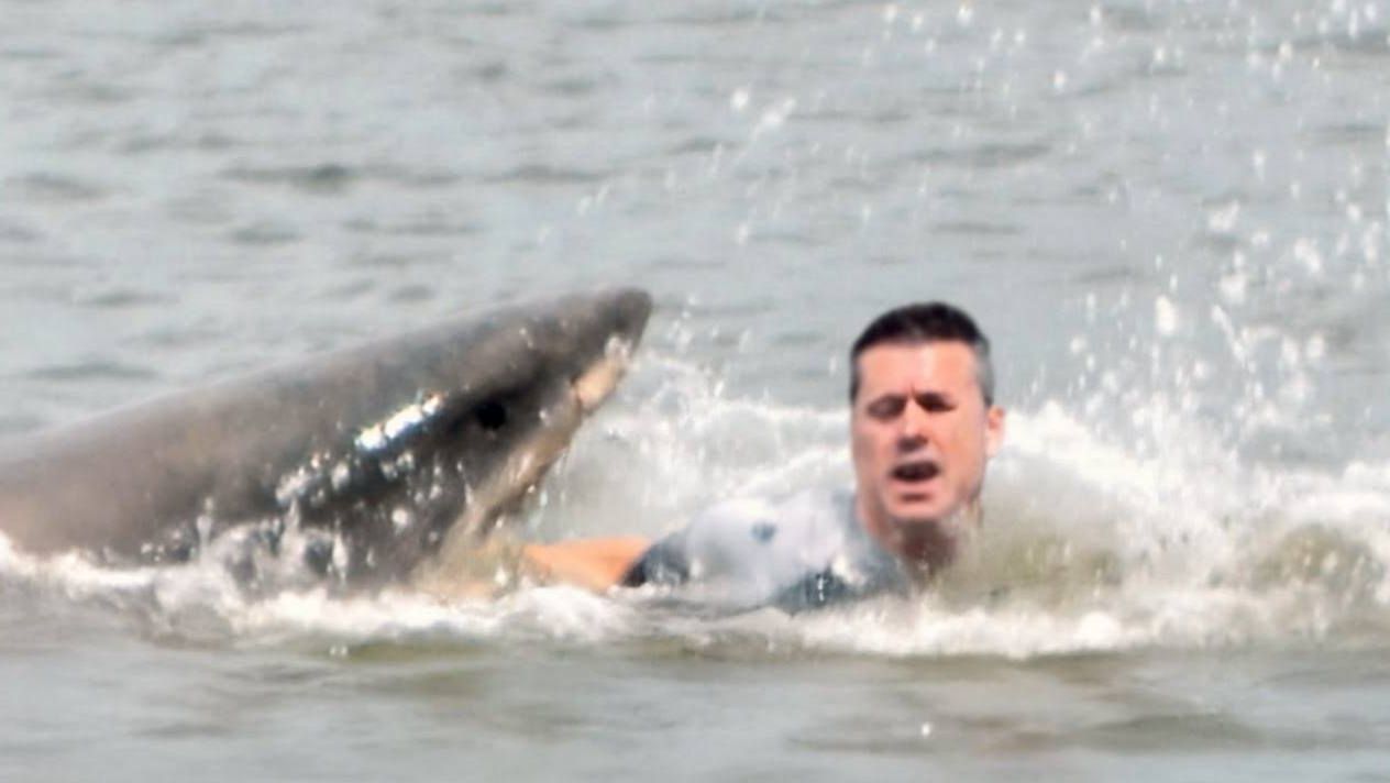 Они зашли в воду и не вышли | Нападение акулы попало на камеру