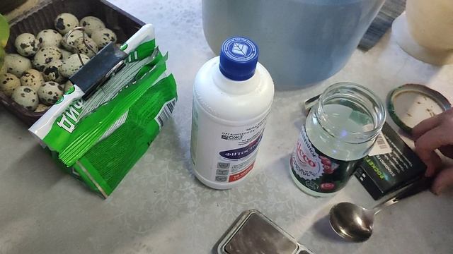 Хворост, подкормка цветов эустома и др. Дневник за 18 января